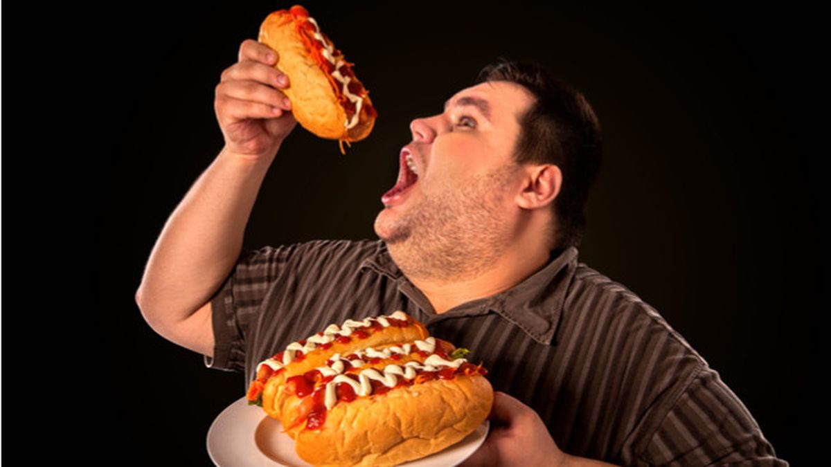 5 Alasan Kamu Kembali Lapar Walau Baru Saja Makan Porsi Besar - TIKTAK.ID