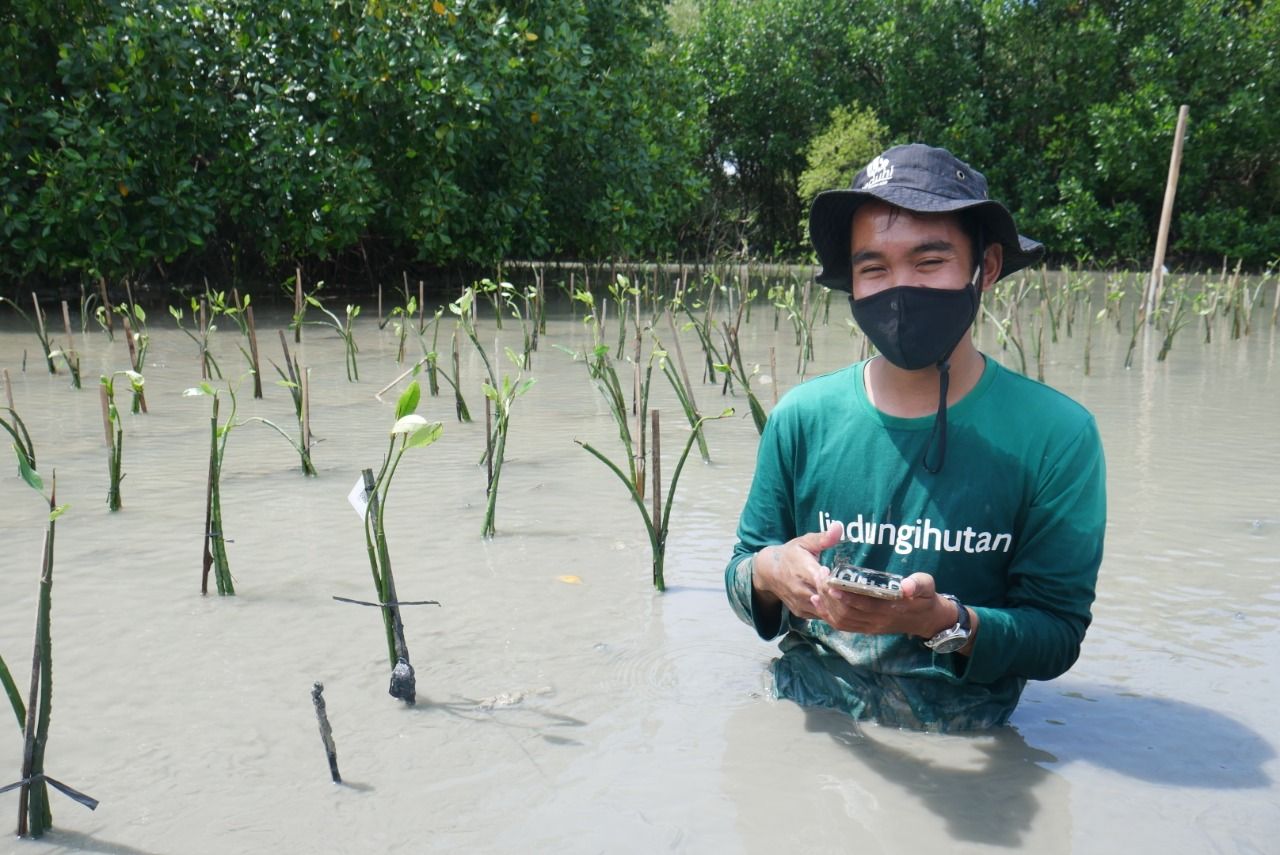 Gojek Gandeng Jejak.in, Luncurkan GoGreener Carbon Offset - TIKTAK.ID
