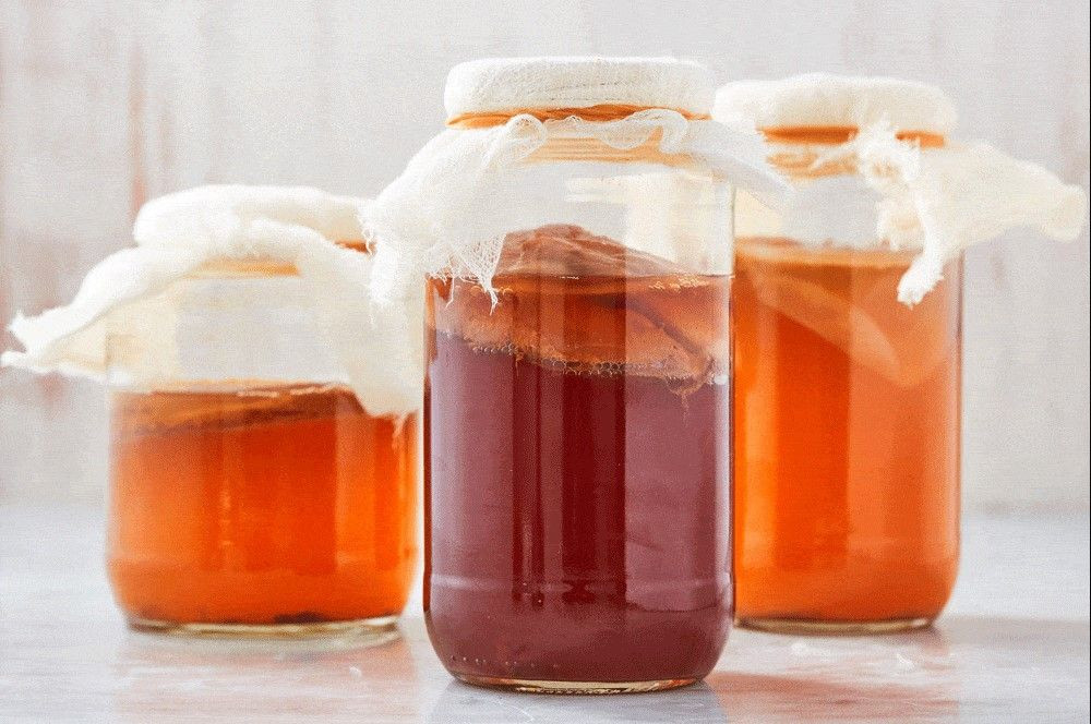 Resep Kombucha, Teh Fermentasi Asal China - TIKTAK.ID