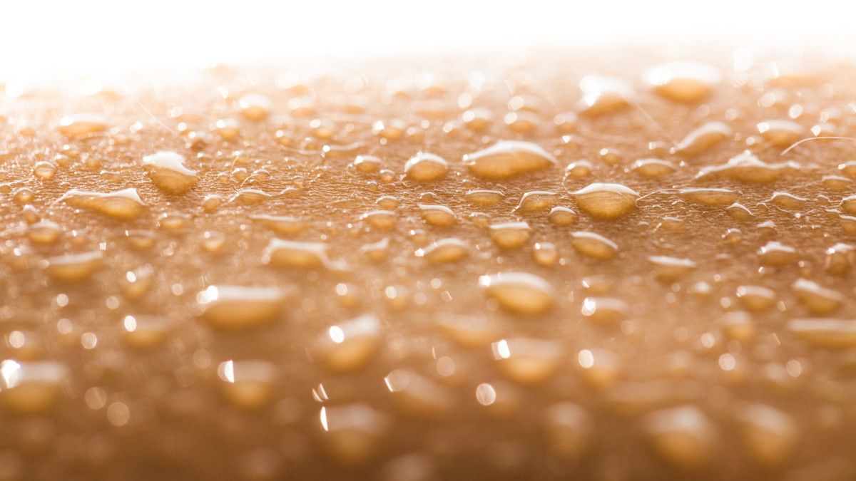 Ketahui Fungsi Keringat untuk Kesehatan - TIKTAK.ID